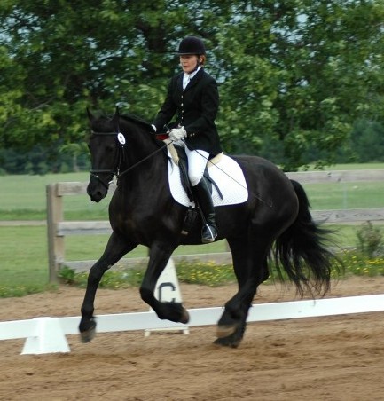 Friesian Heritage & Sporthorse News & Promotions